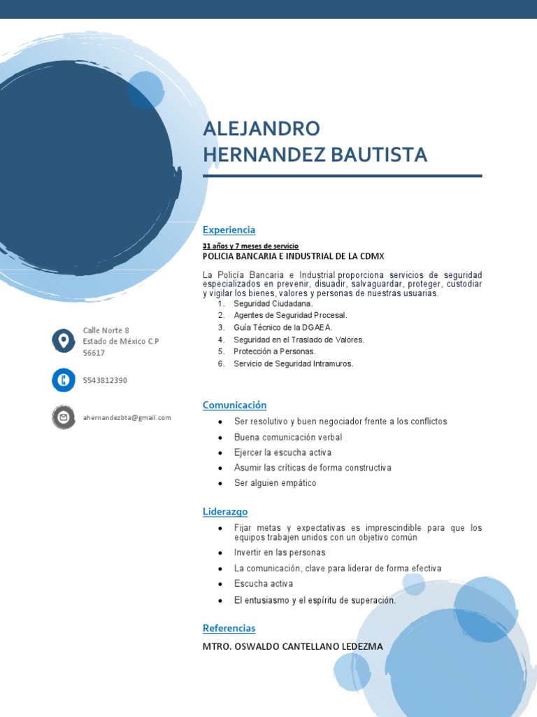 CV Alejandro | PDF