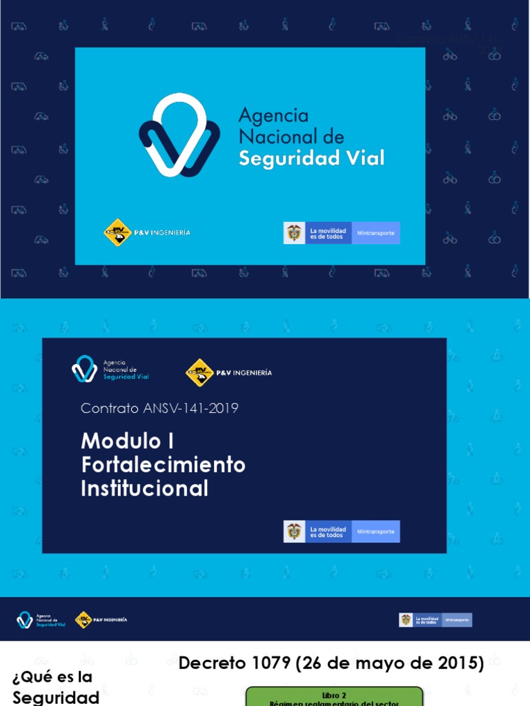 Presentación Pesv | PDF