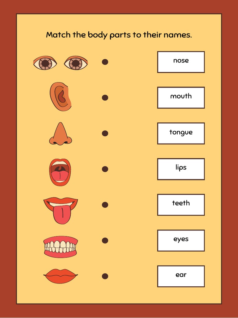 Red and Yellow Body Parts Worksheet | PDF