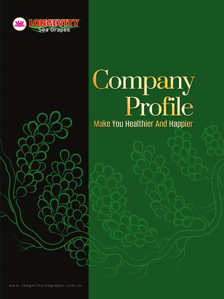 Company Profile SGV 2023 - 3 | PDF | Sauce | Cosmetics
