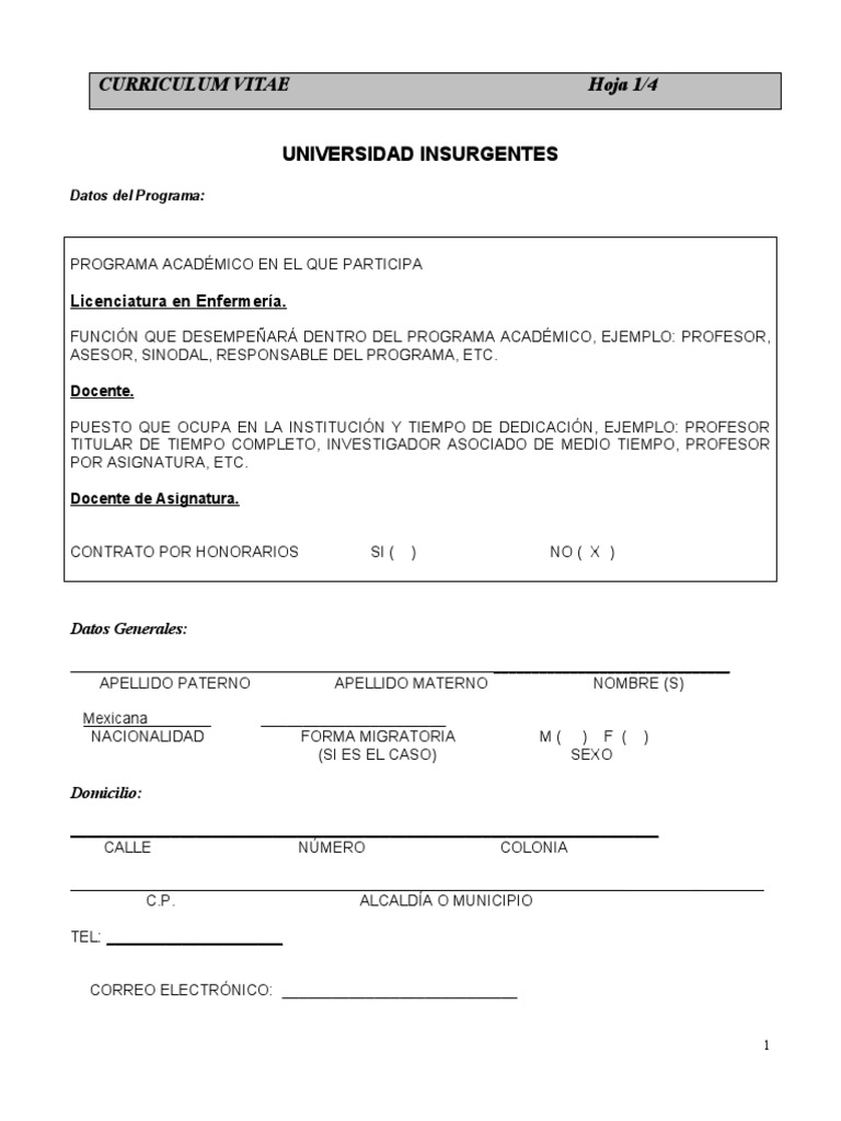 CV Institucional Uin | PDF