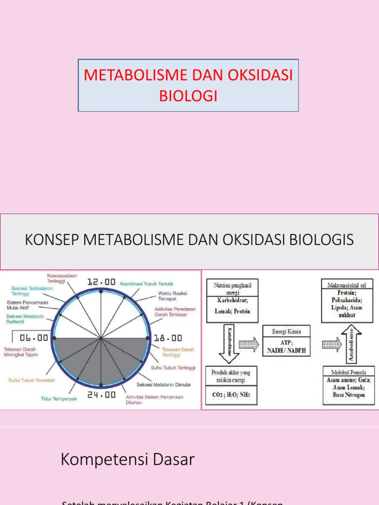 Materi Kuliah 1 (Konsep Metabolisme Oksidasi Biologi) | PDF