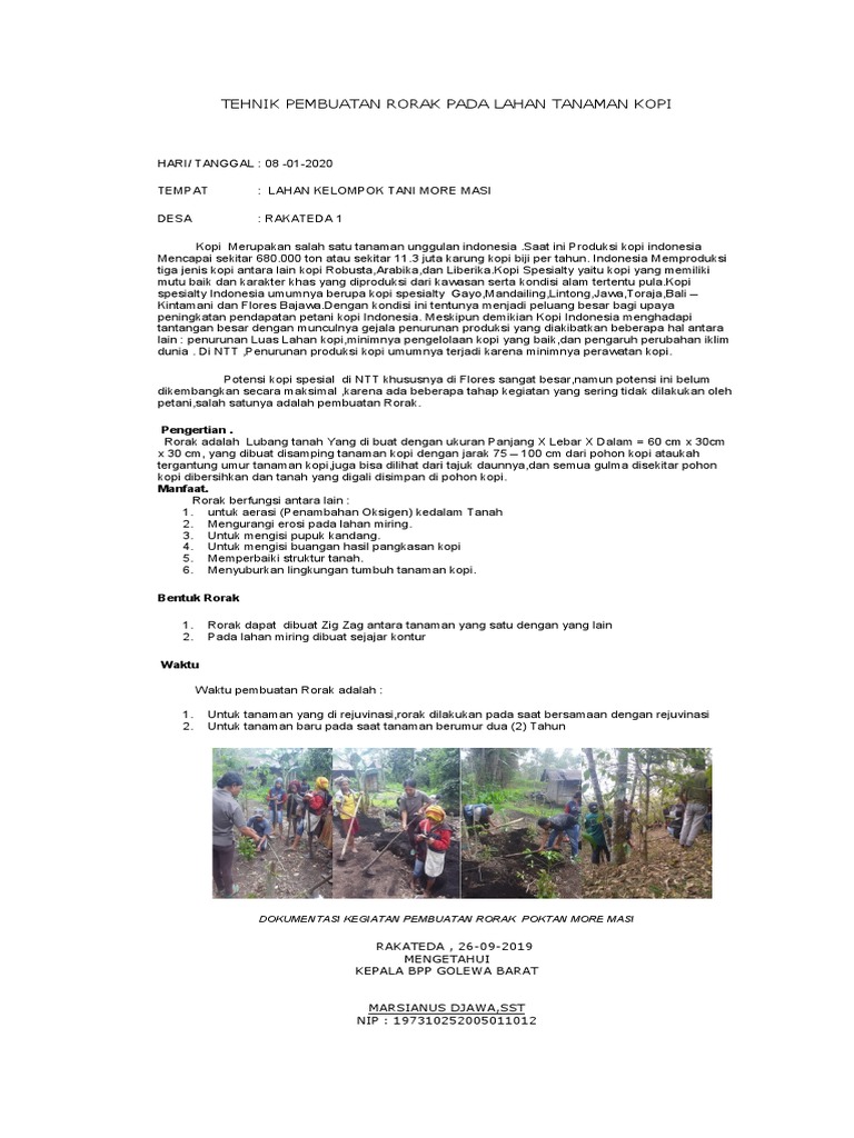 Teknik Rorak untuk Kopi Optimal | PDF