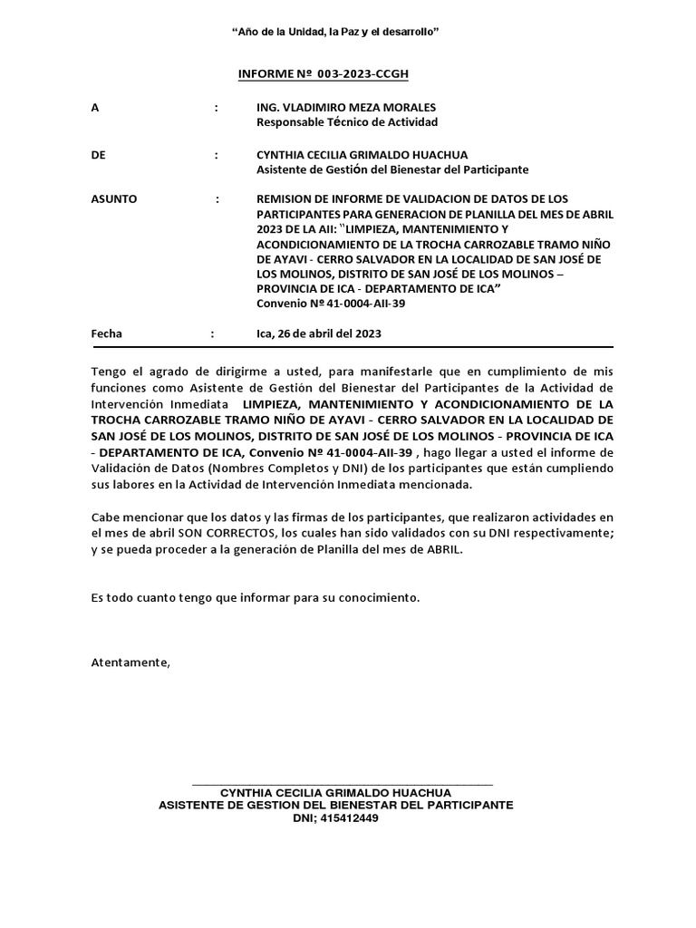 Modelo - Informe de Validacion de Datos | PDF