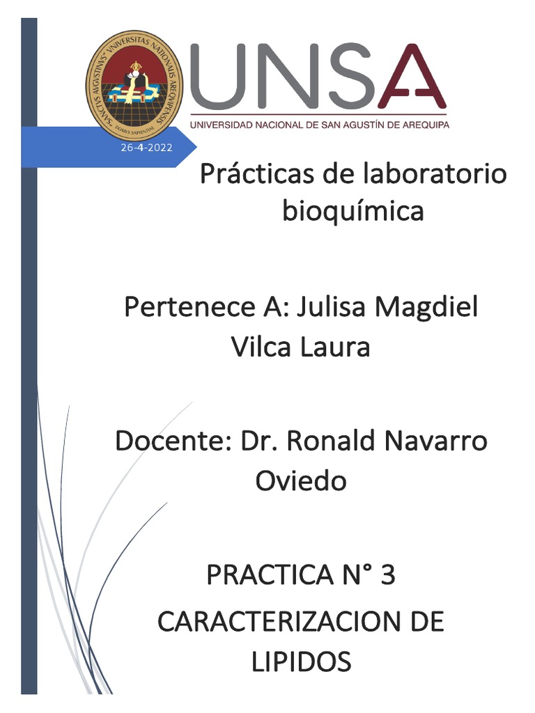 Practica N°3 | PDF