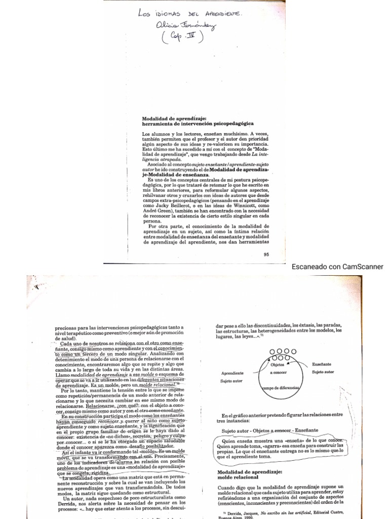 Los Idiomas Del Aprendiente (Cap4) Alicia Fernández | PDF