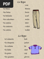 La Ropa en Espanol 30 Nombres de Prendas de Vestir Imprimible | PDF