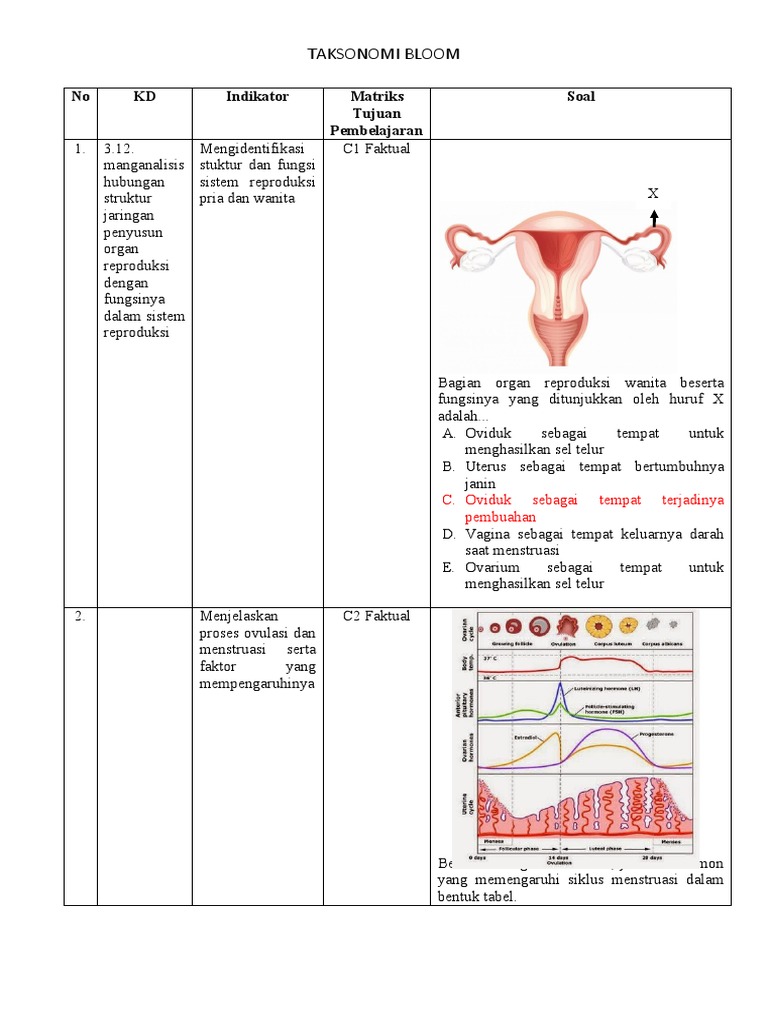 Soal Bertaksonomi Bloom | PDF