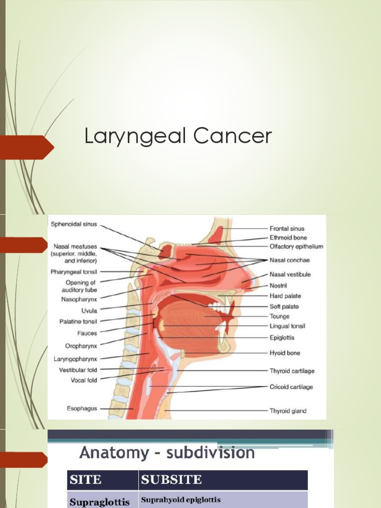 Laryngeal Cancer 1 | PDF | Larynx | Cancer
