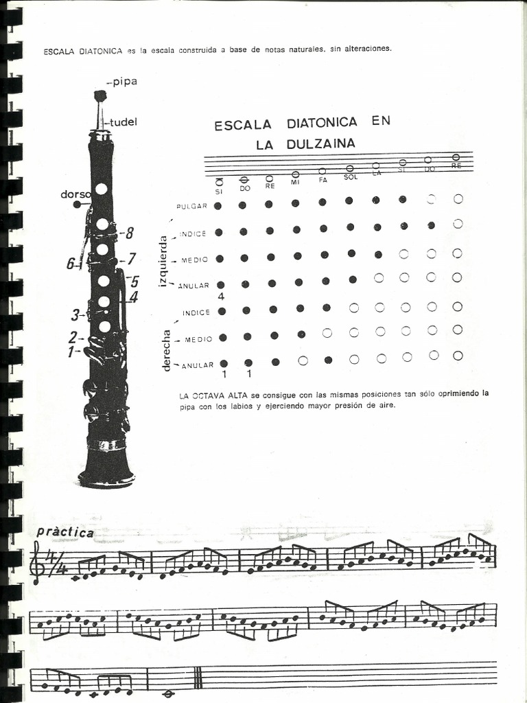 Escanear 0001343 | PDF