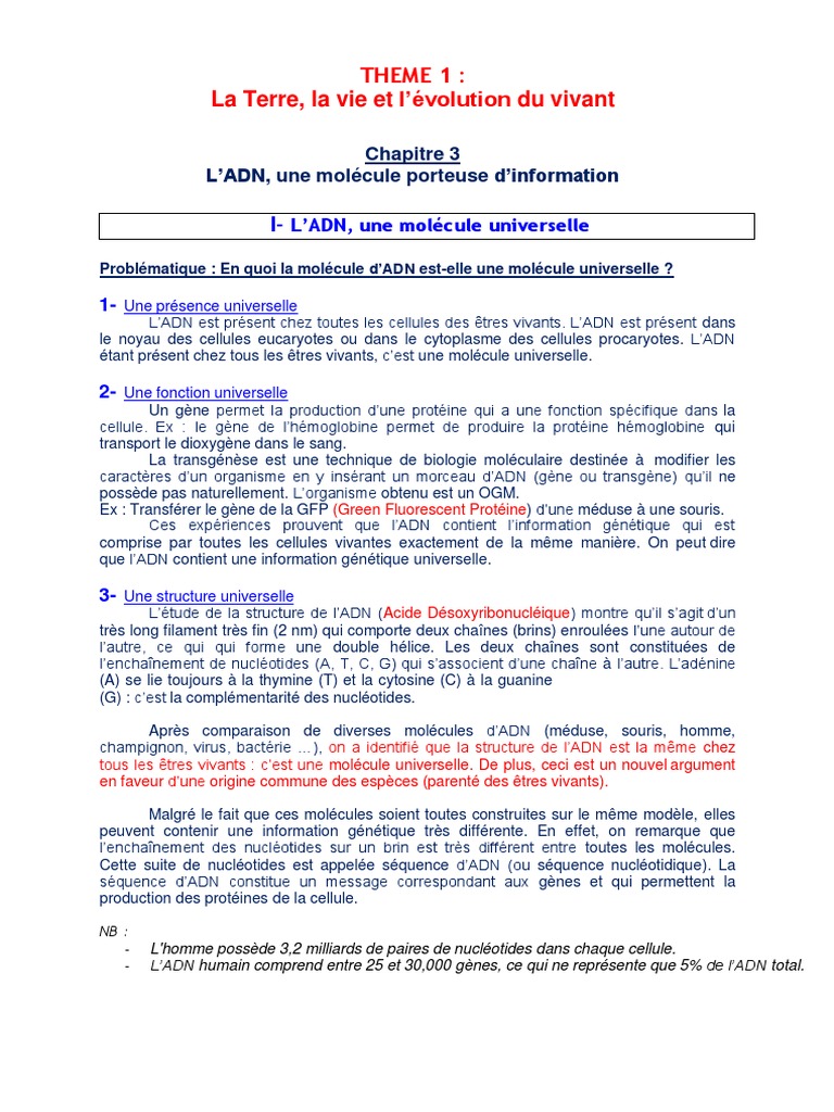 Cours - ADN - Seconde - SVT 2023 | PDF