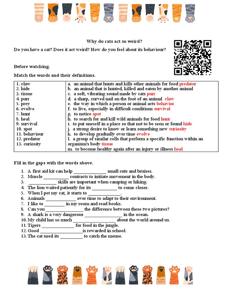 Why Do Cats Act So Weird - 149333 | PDF