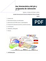 Anatomia Del Pie | PDF | Pie | Morfología (biología)
