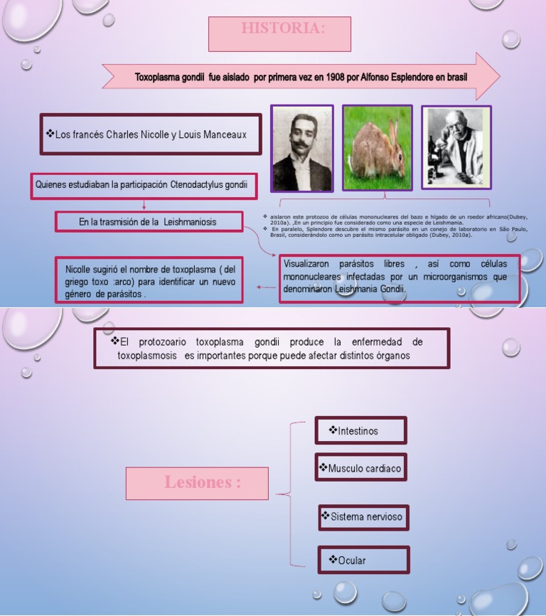 Descubrimiento de la Toxoplasmosis | PDF