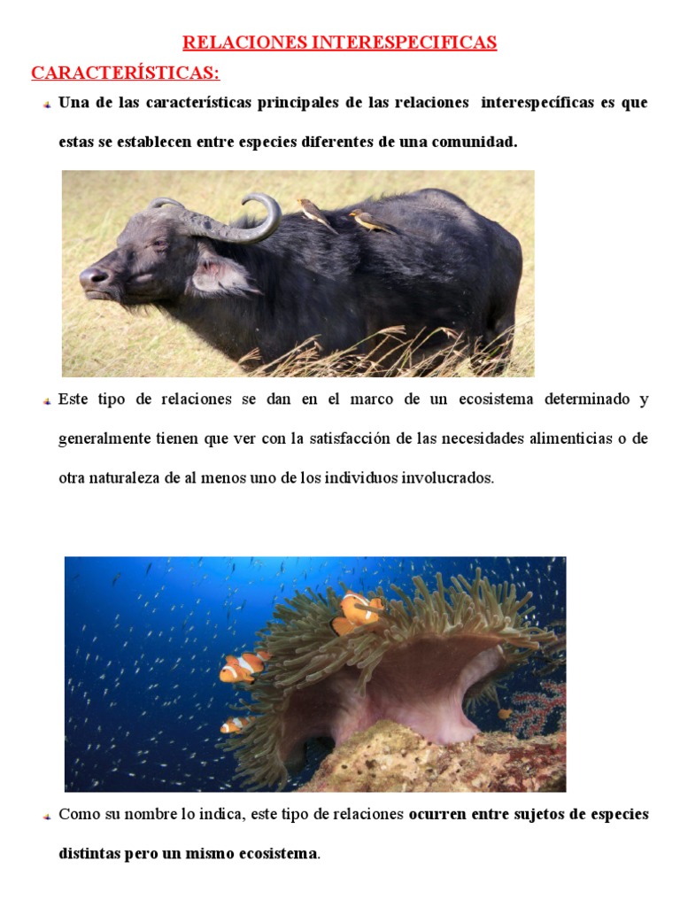 Relaciones Interespecificas | PDF