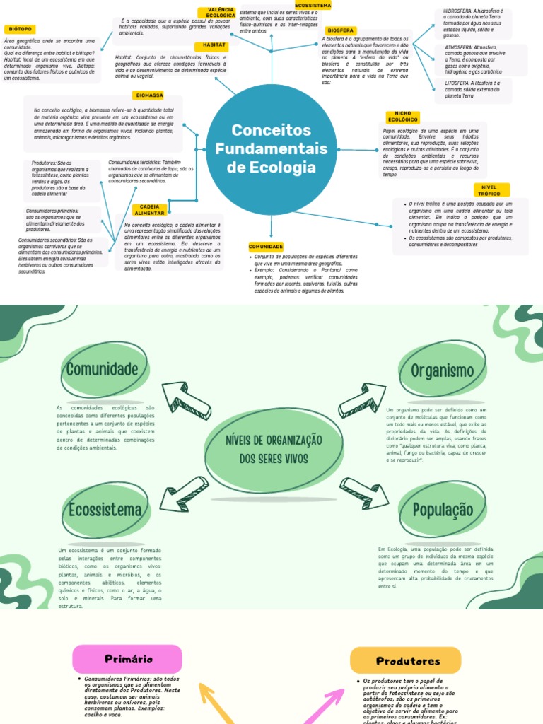 White Blue Clean Simple Workflow Mind Map Brainstorm | Download grátis ...
