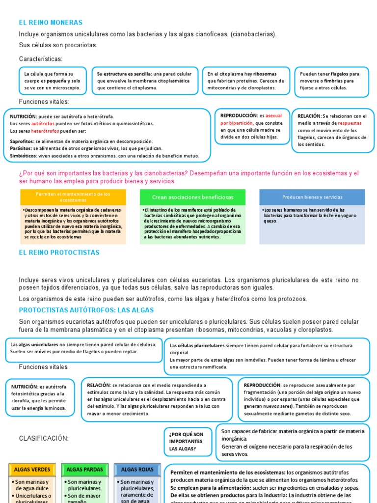 Tema 7 | PDF | Algas | Biología Celular)