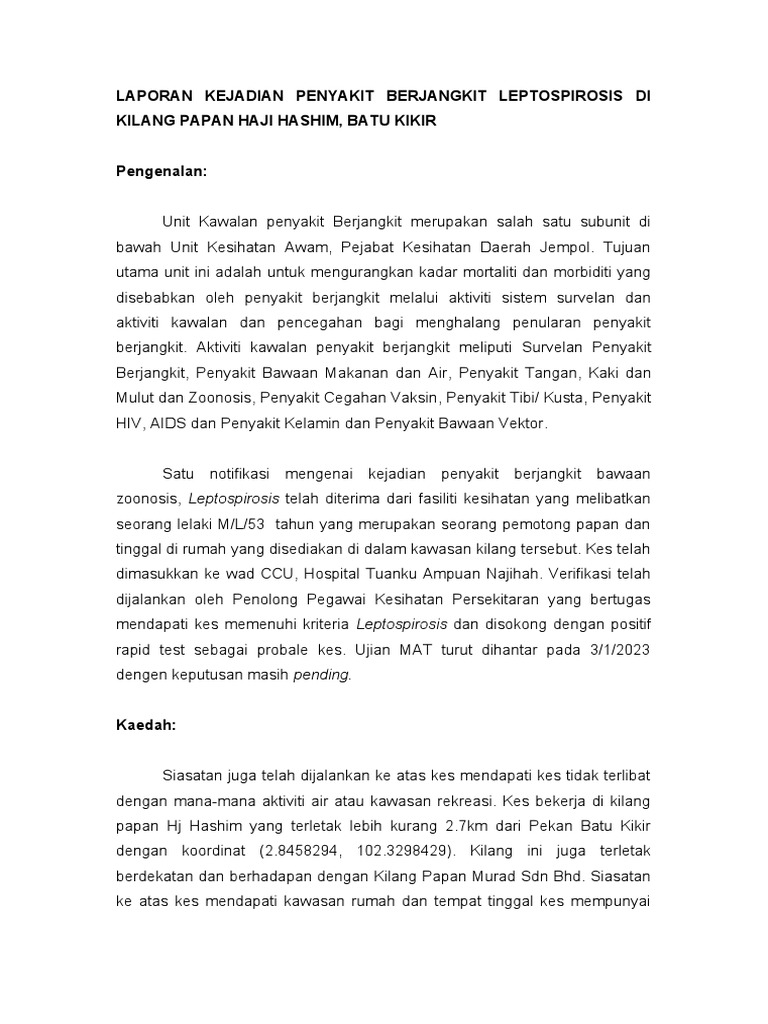 Laporan Ringkas | PDF