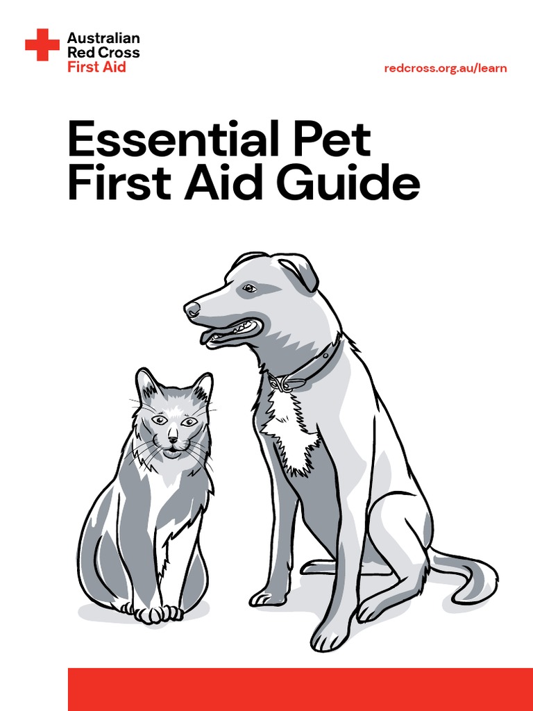 Essential Pet First Aid Guide | PDF