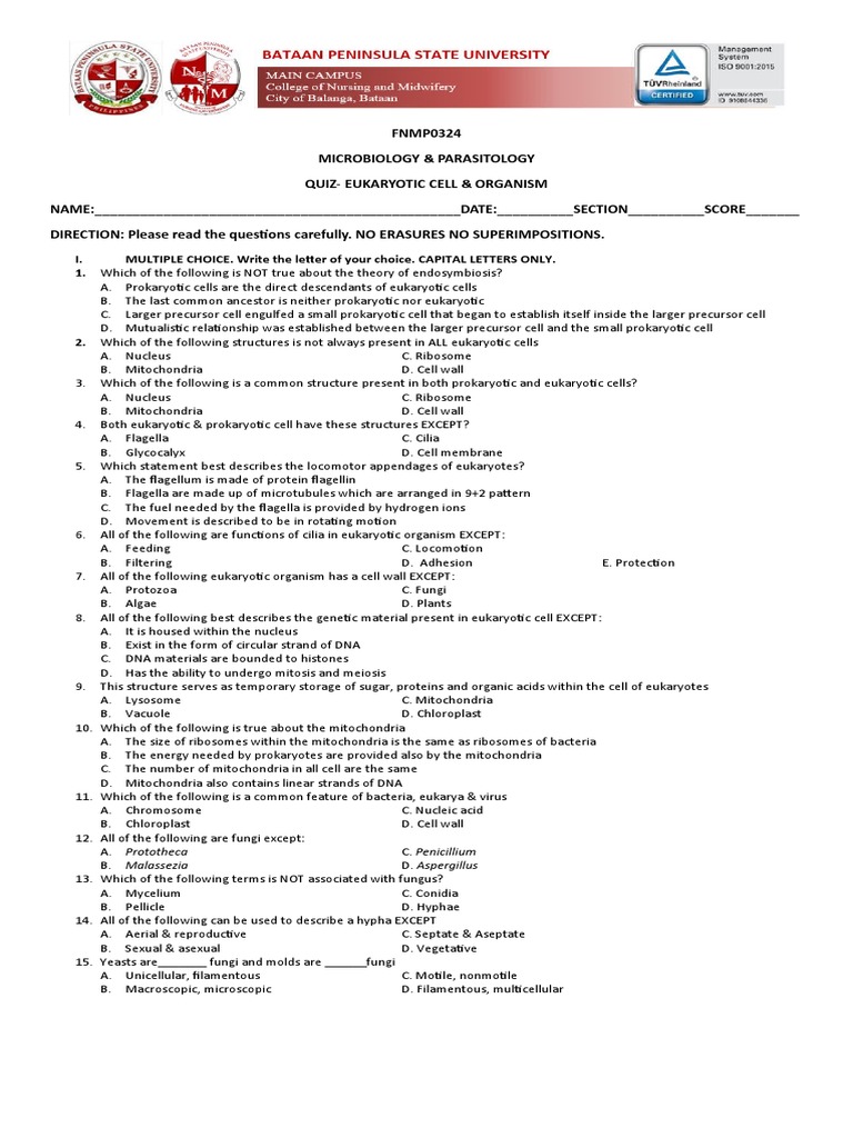 Eukaryotic Cell & Organism Quiz | PDF | Cell (Biology) | Fungus