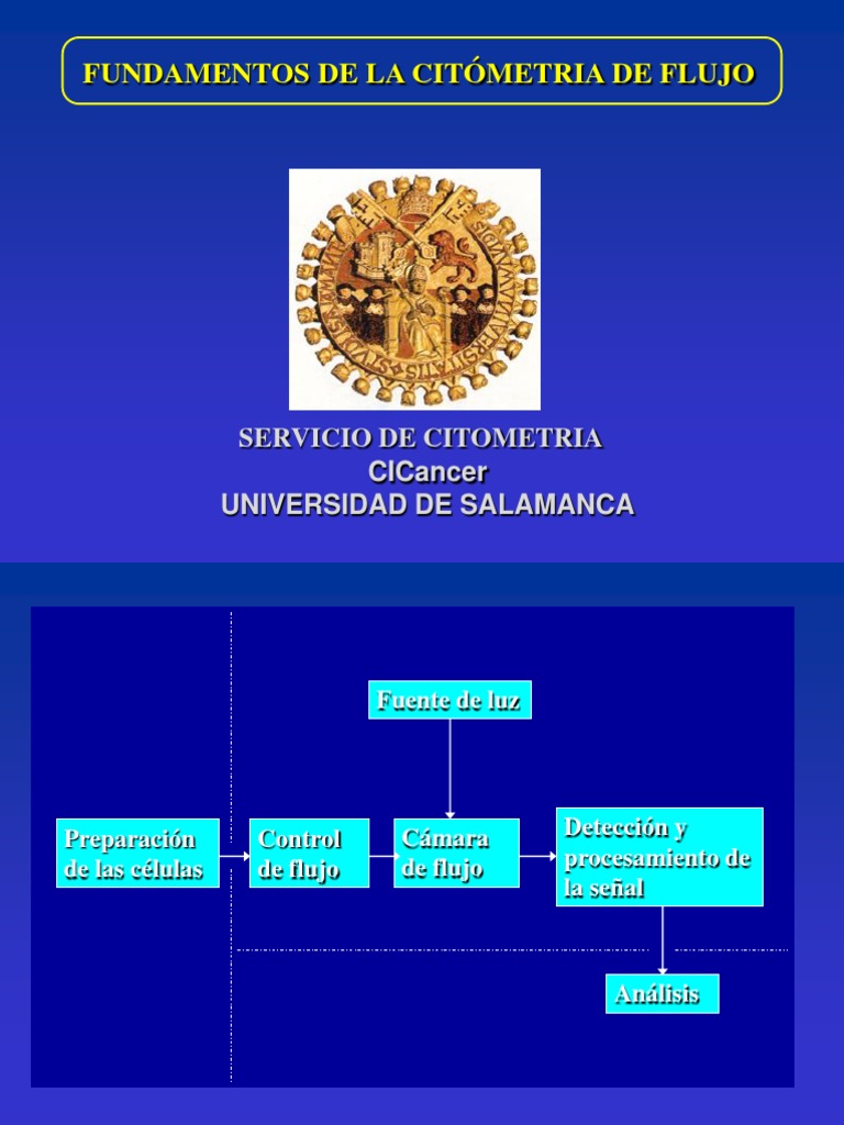 Fundamentos CMF | PDF