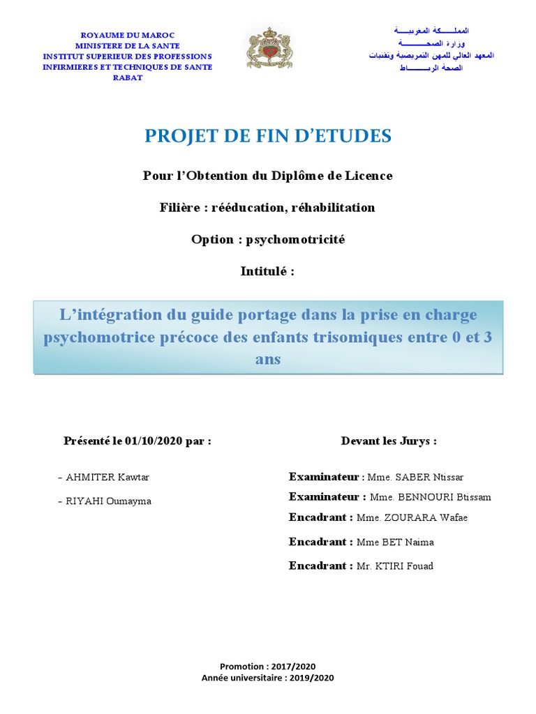 L'intégration Du Guide Portage Dans La Prise en Charge | PDF