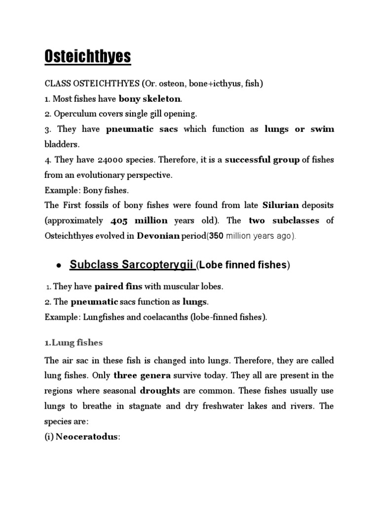 Osteichthyes | PDF