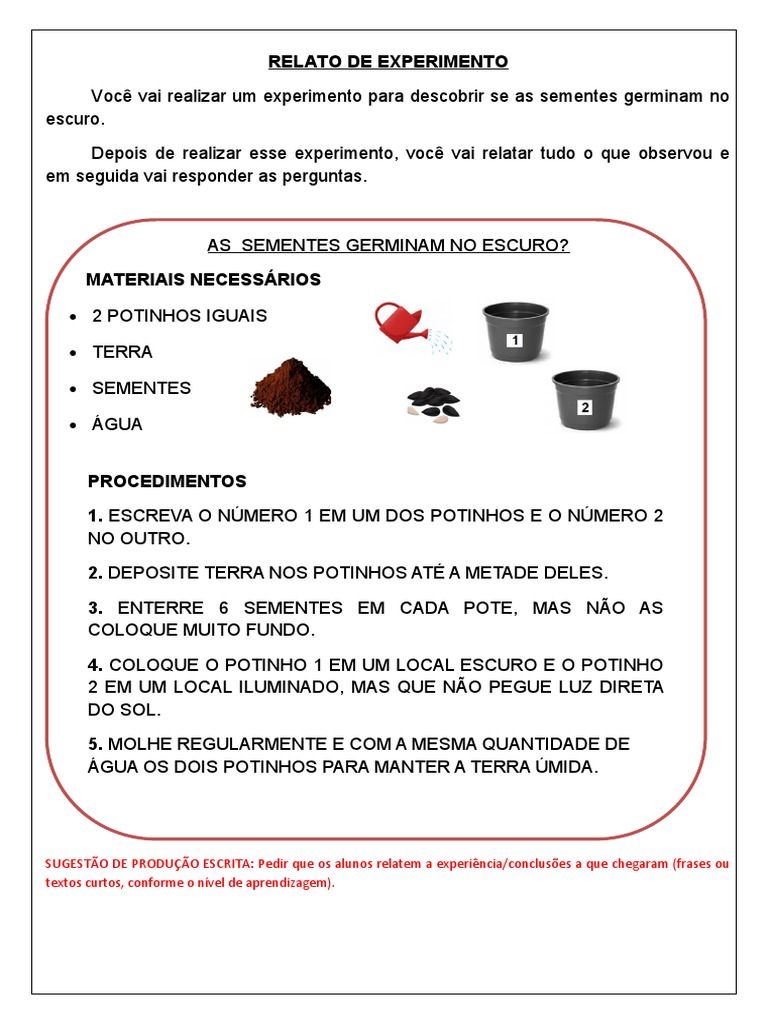 Relato de Experimento Pronto | PDF