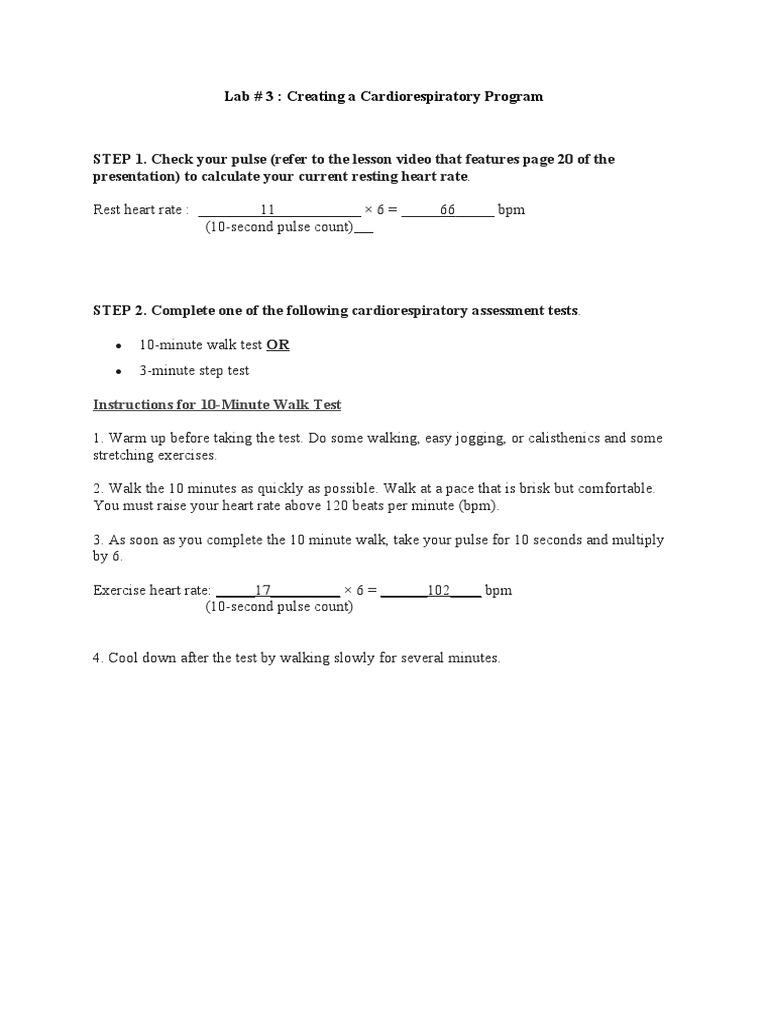 Lab # 3 Creating A Cardiorespiratory Program | PDF