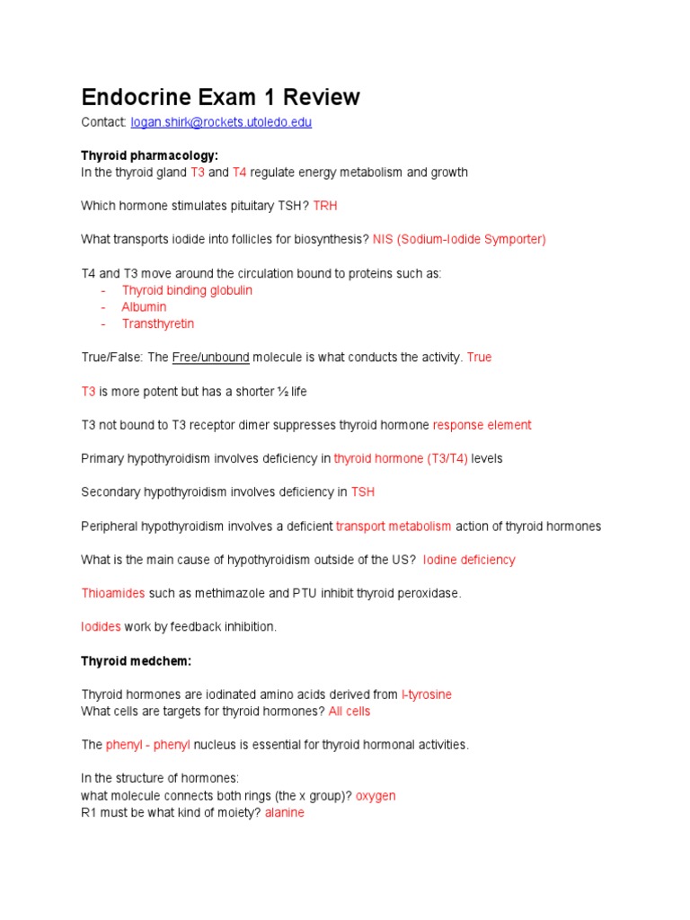Endocrine Exam 1 Review Session (KEY) | PDF