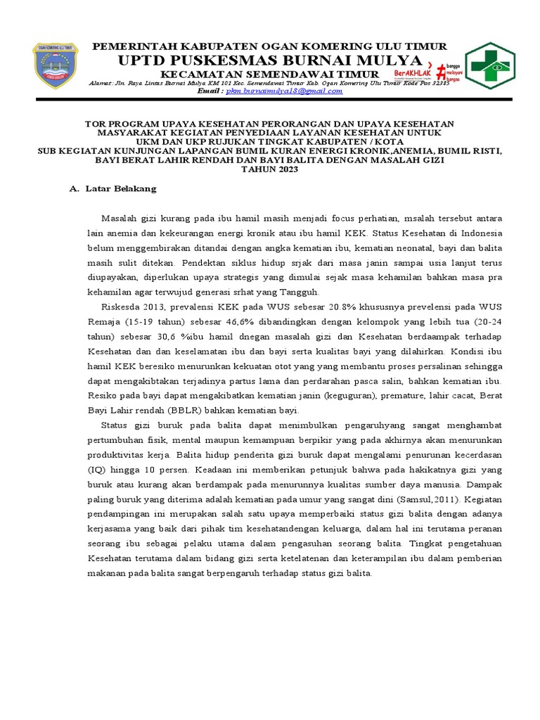 Tor Kunjungan Lap Bumil Kek | PDF