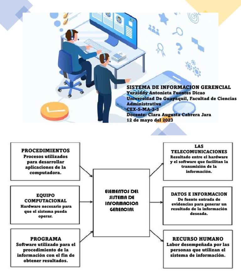Elementos Del Sistema de Informacion Gerencial | PDF