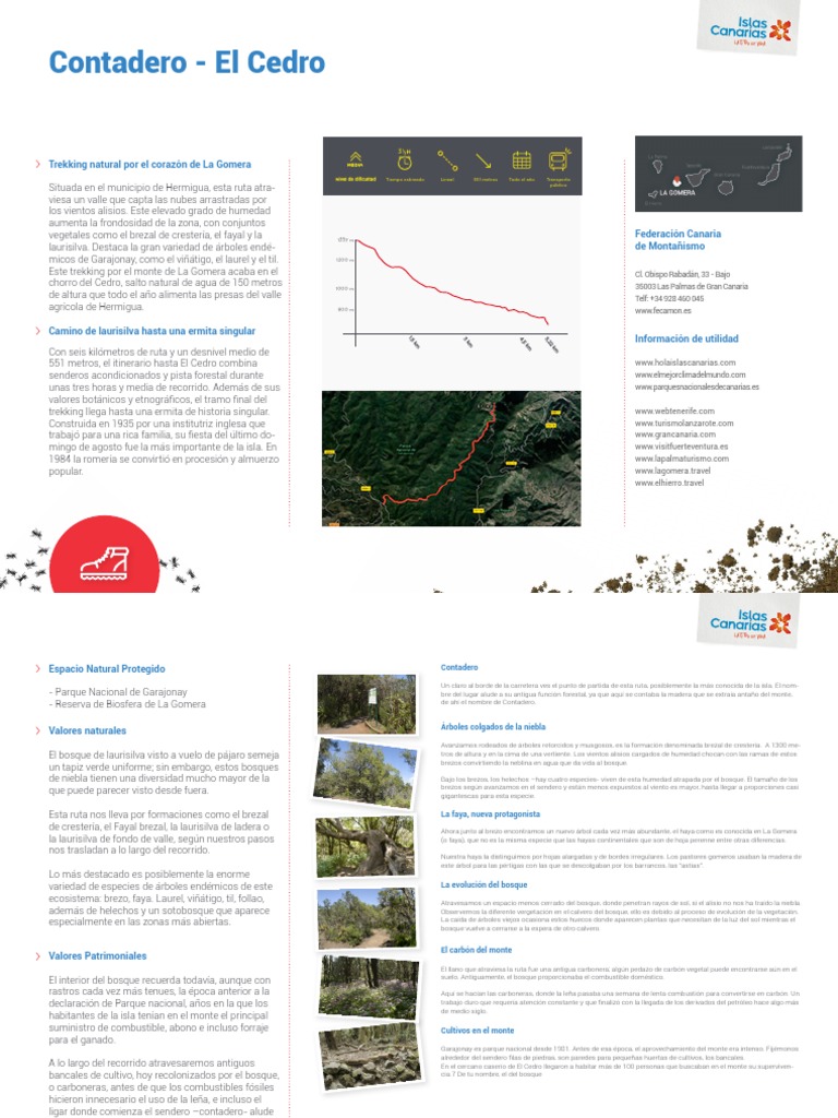 Sendero Cedro | PDF | Los bosques | Arboles