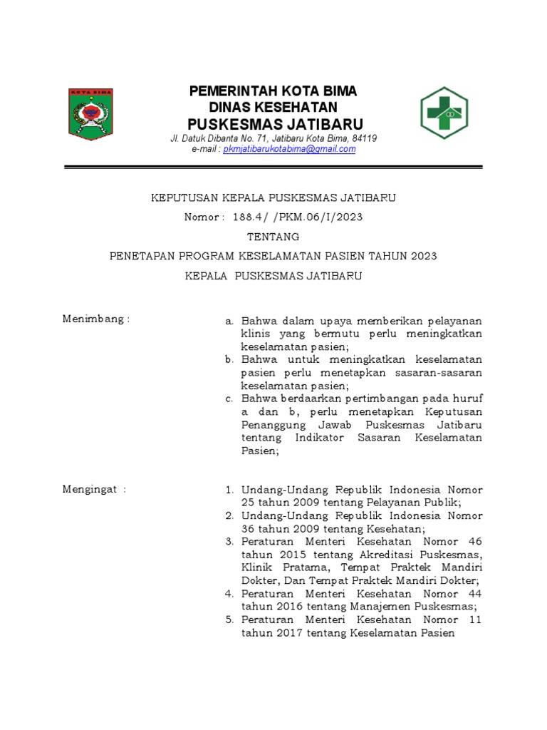 SK Program Keselamatan Pasien | PDF