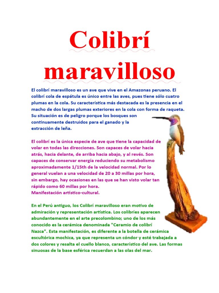 Colibrí maravilloso | PDF