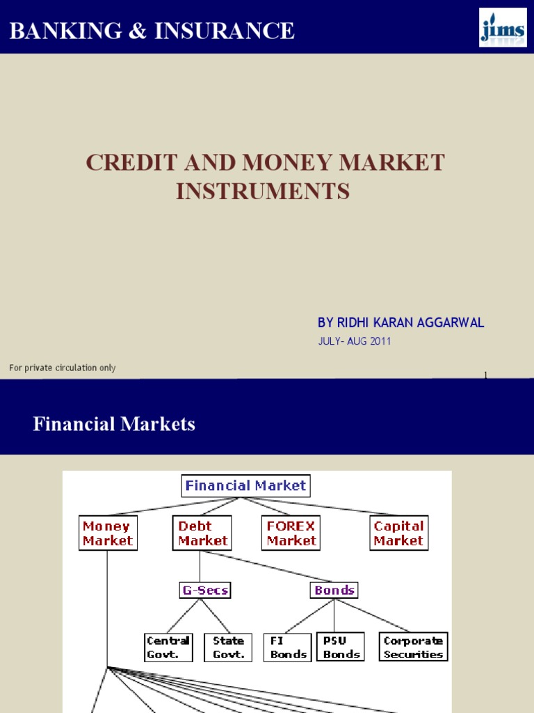 Credit Instruments Final | PDF