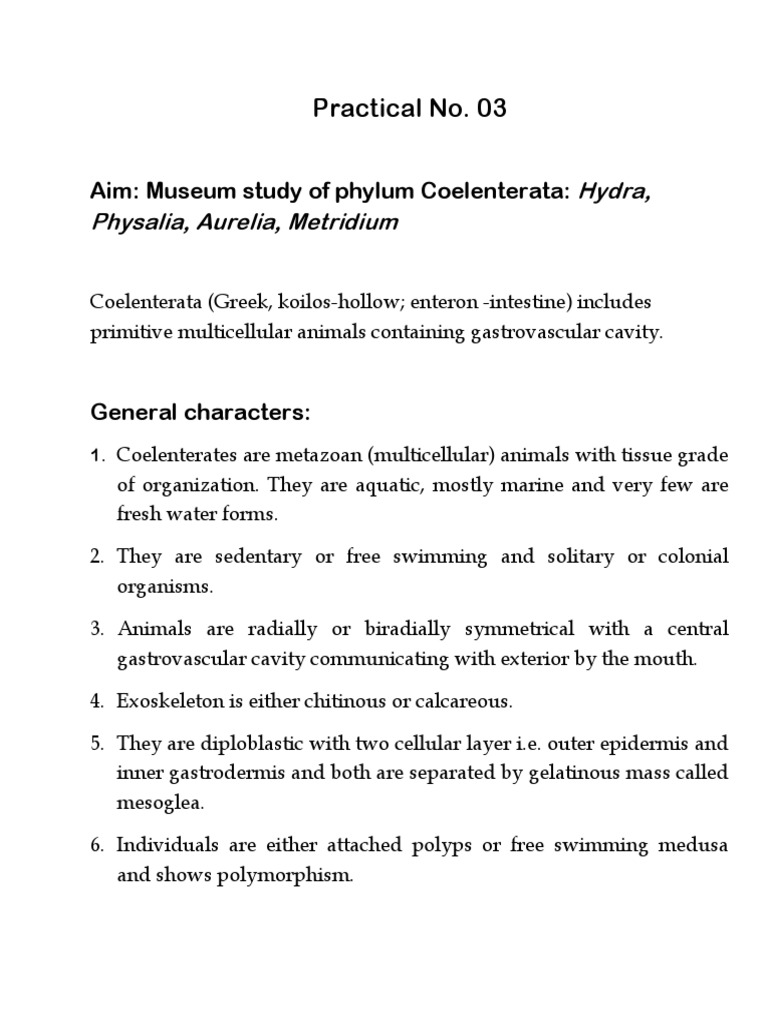 Practical No 3 FYBSc. | PDF