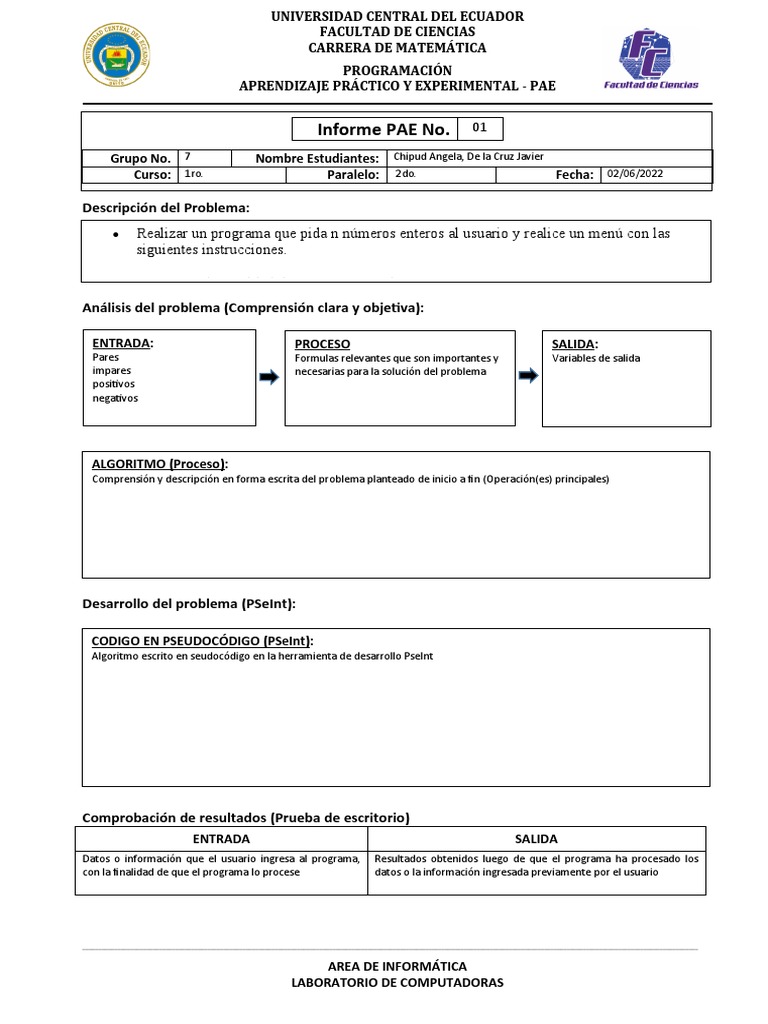 P - Formato de Informe PAE | PDF