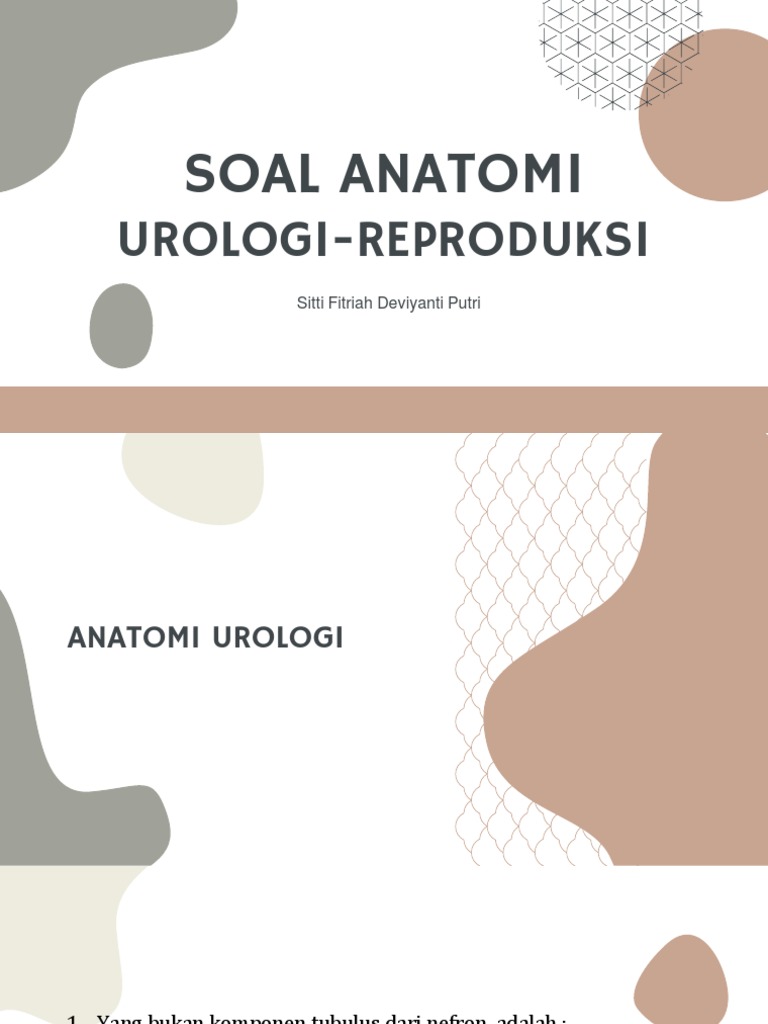 Soal Anatomi Uro-Repro 1 | PDF