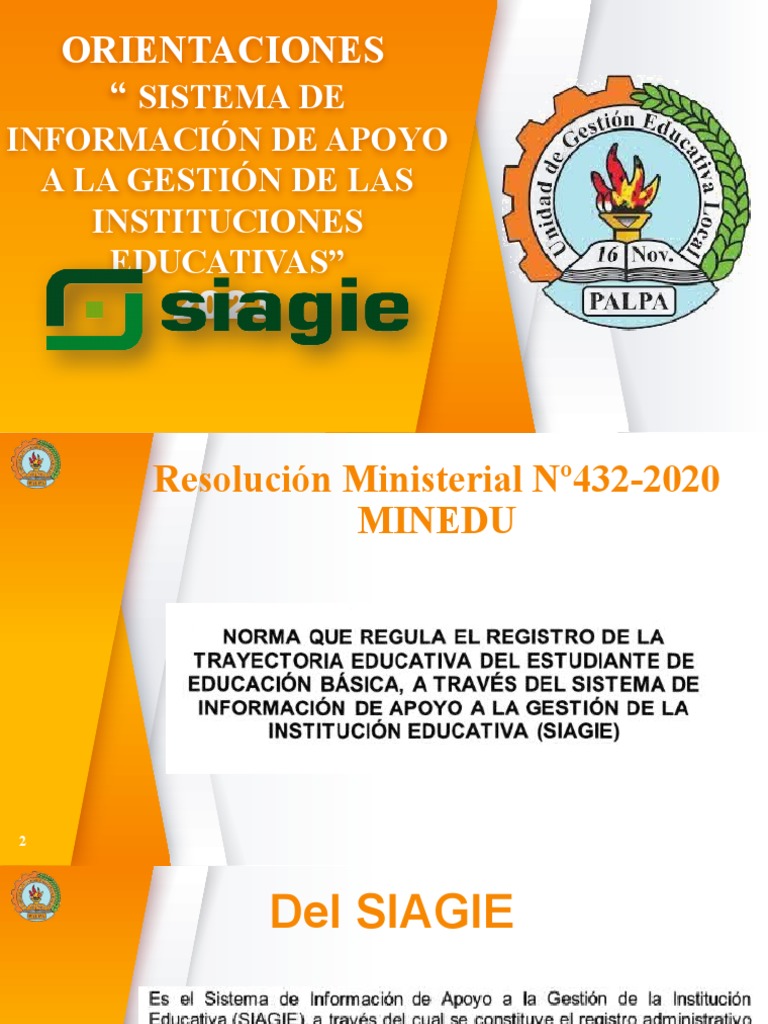 Guía del SIAGIE para Instituciones Educativas | PDF