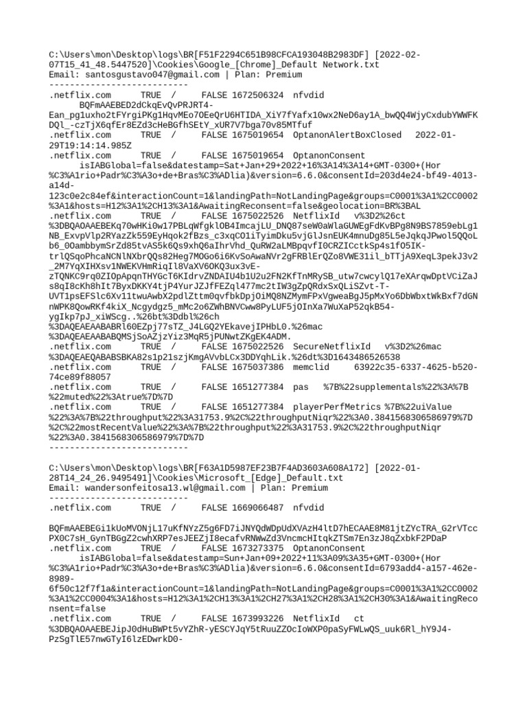 Netflix Cookies | PDF