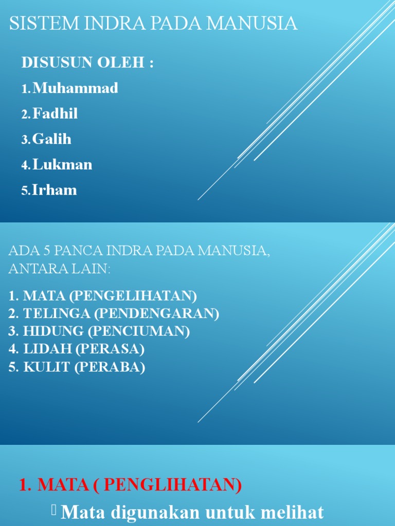 Sistem Indra | PDF