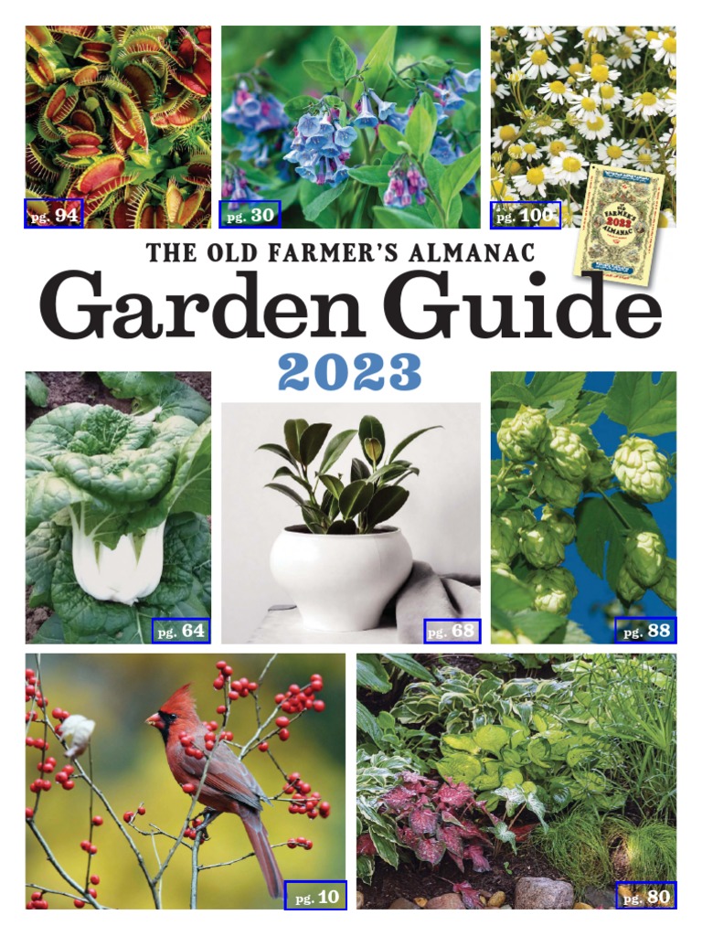 Almanac 2023 Garden Guide | PDF | Lawn | Horticulture