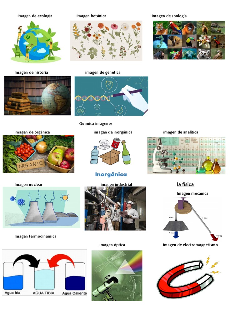 Ramas de La Ciencia Naturales | PDF