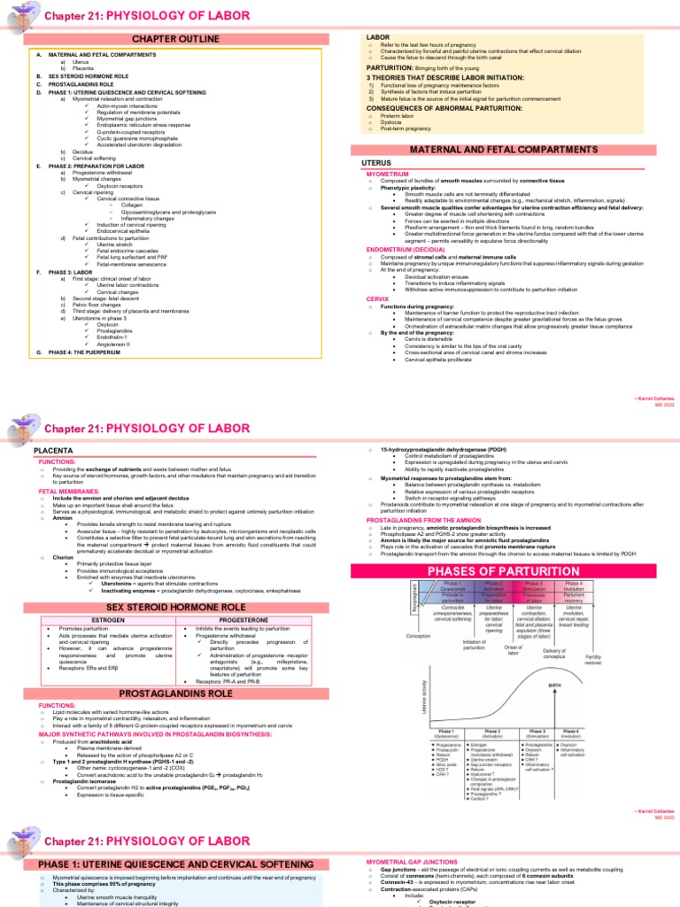 OB 21 PHYSIOLOGY OF LABOR by K | PDF