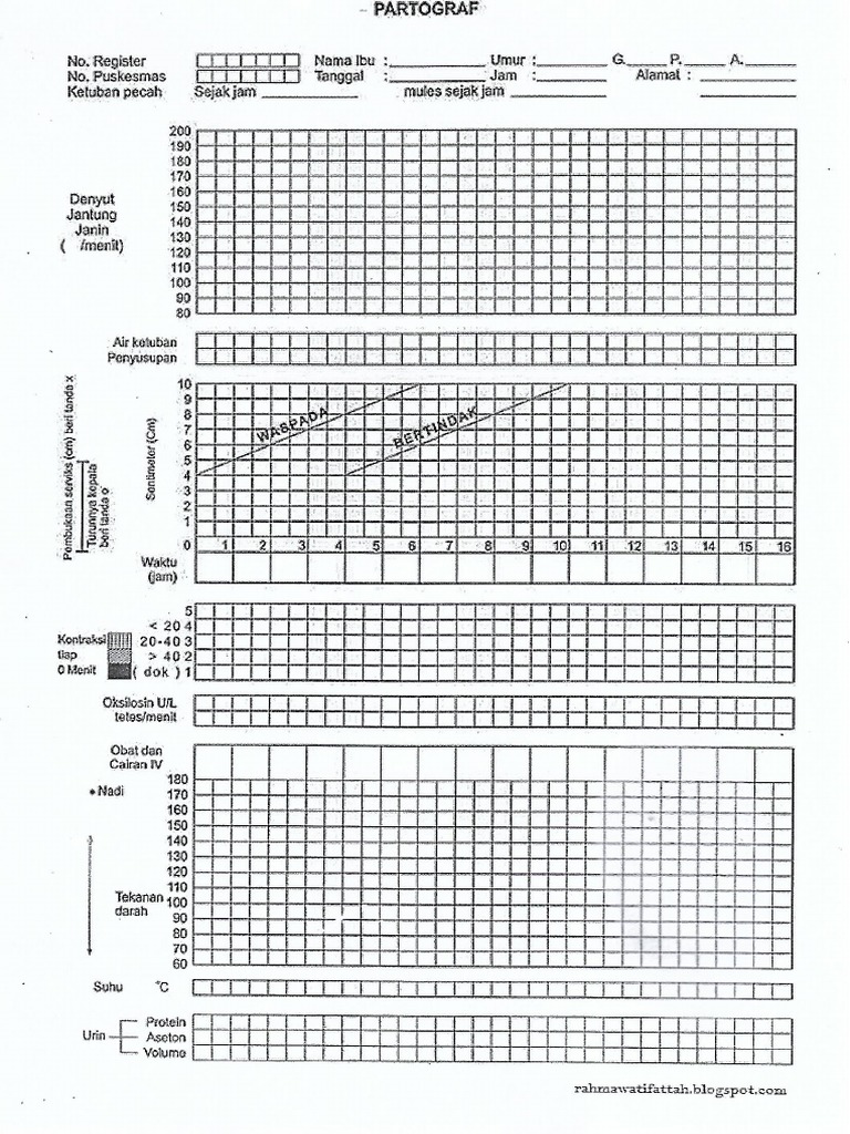 Form Partograf S1 | PDF