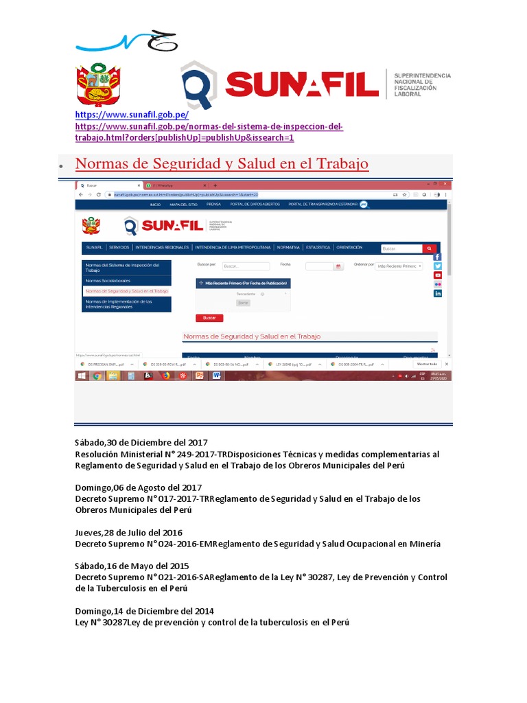 1 Normativa SUNAFIL | PDF | Salud pública