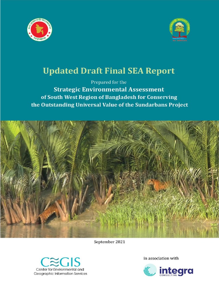 Updated Draft Final SEA Report CEGIS Integra | PDF | Air Pollution ...