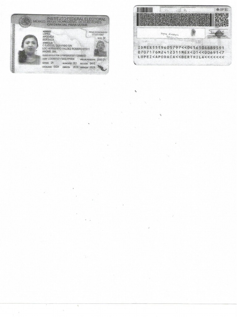 Berthil A Lopez Apodaca | PDF