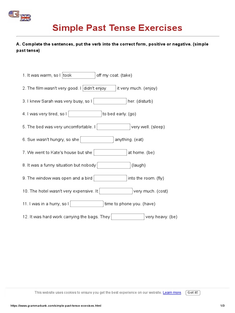 Simple Past Tense Exercises Guide | PDF